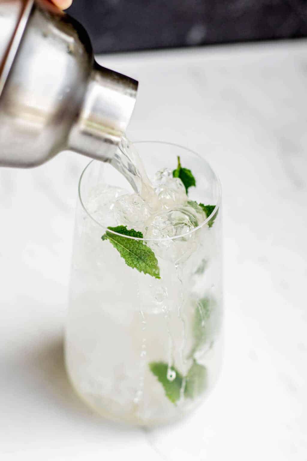 Lychee Mojito - Mint and Twist
